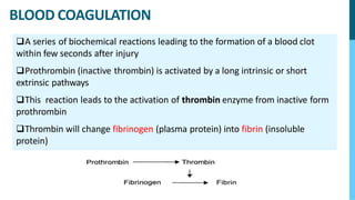 Coagulation Mechanism and blood disorders | PPTX