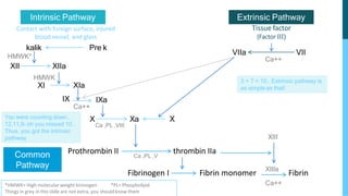 Coagulation Mechanism and blood disorders | PPTX