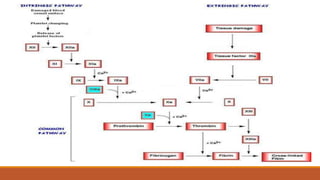 Coagulation MLT | PPT