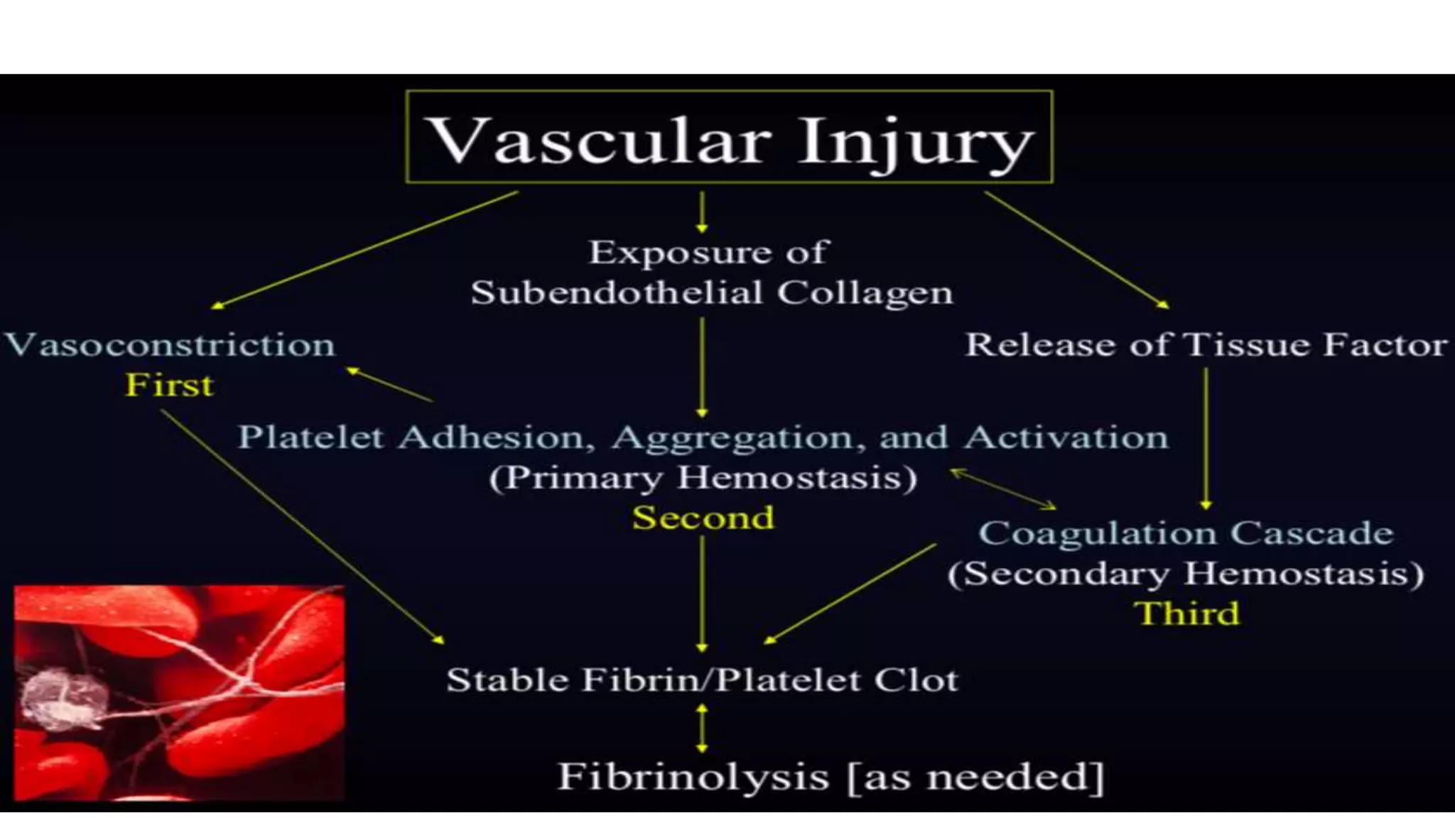 Coagulation monitoring and teg | PPTX