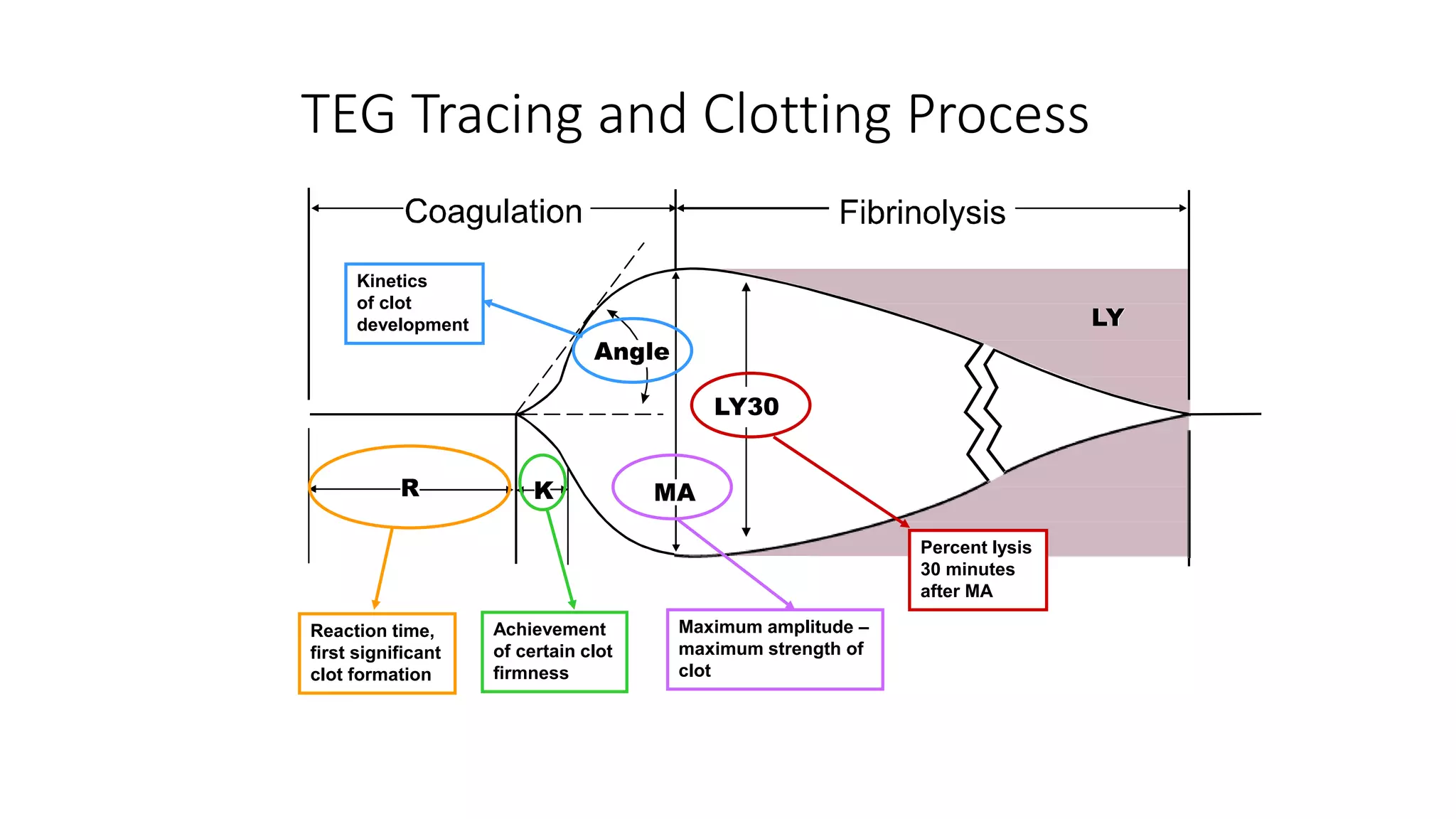 Coagulation monitoring and teg | PPTX