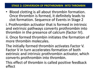 Coagulation of Blood | PPTX