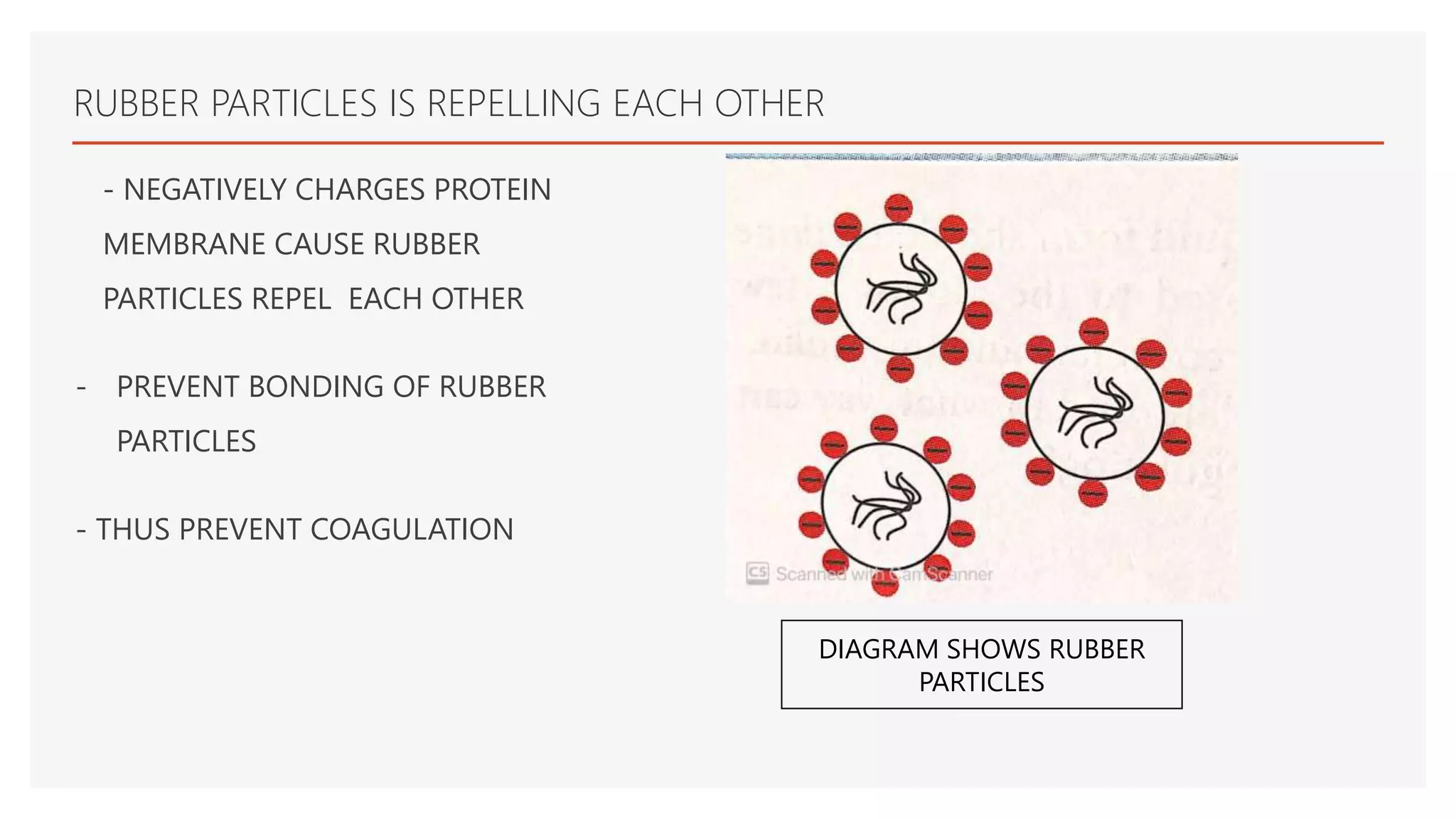 Coagulation of latex.pptx