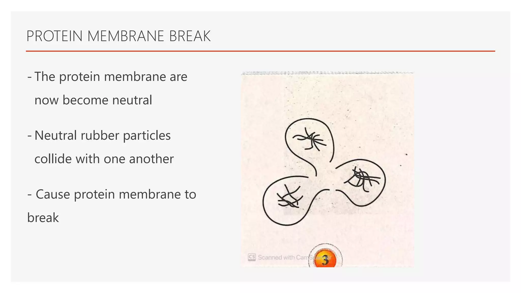 Coagulation of latex.pptx