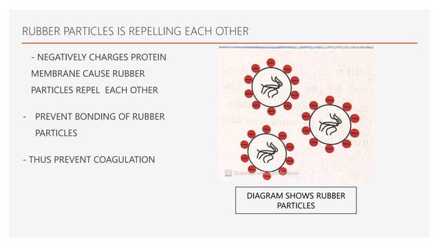 Coagulation of latex.pptx | Chemistry | Science