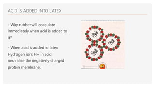 Coagulation of latex.pptx
