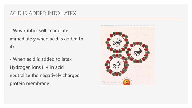 Coagulation of latex.pptx | Chemistry | Science