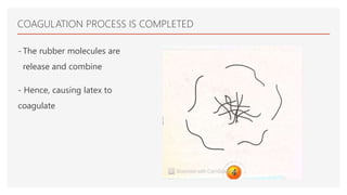 Coagulation of latex.pptx