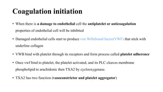 Coagulation pathway.pptx