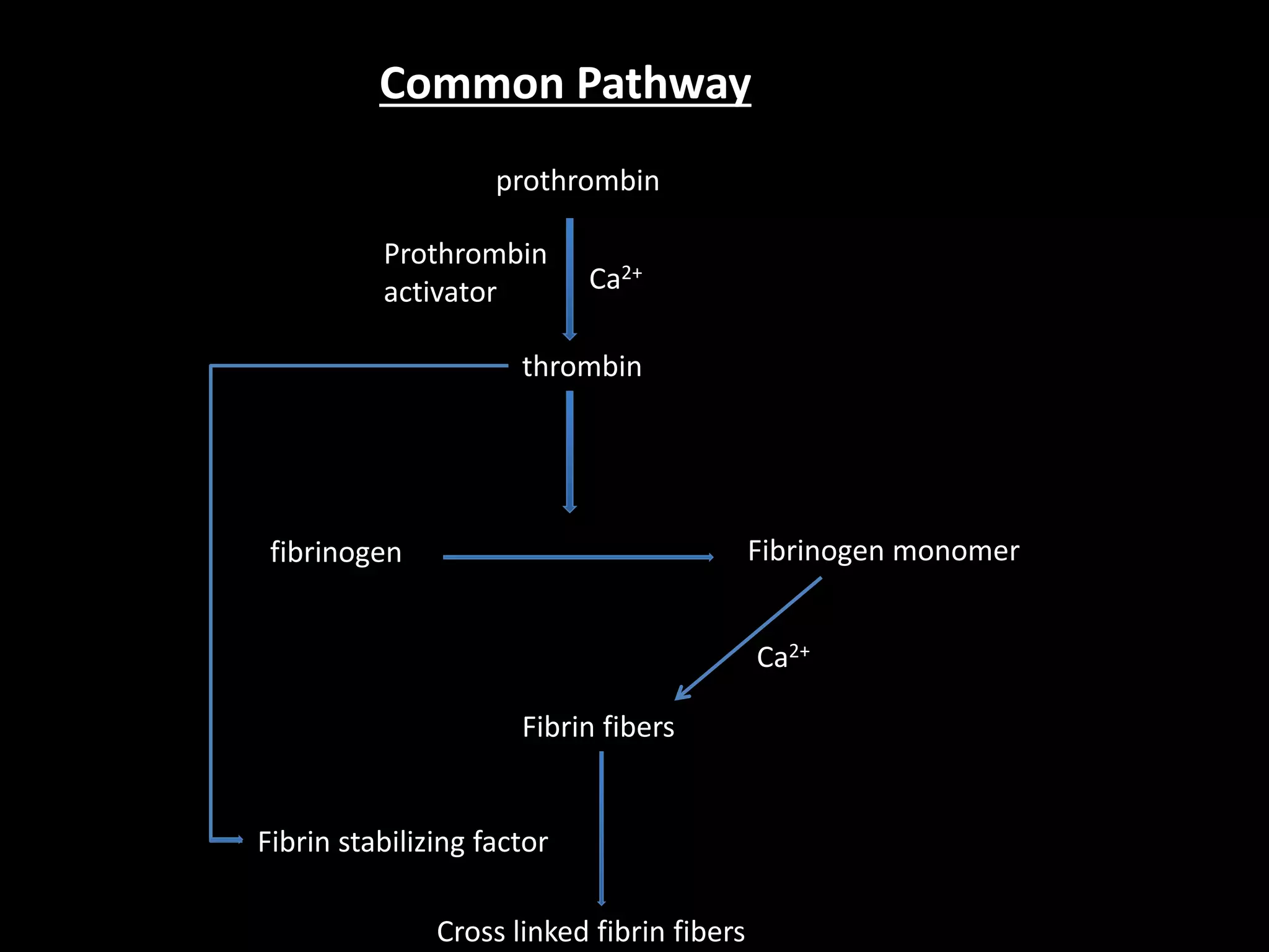 Coagulation profile and its uses | PPTX
