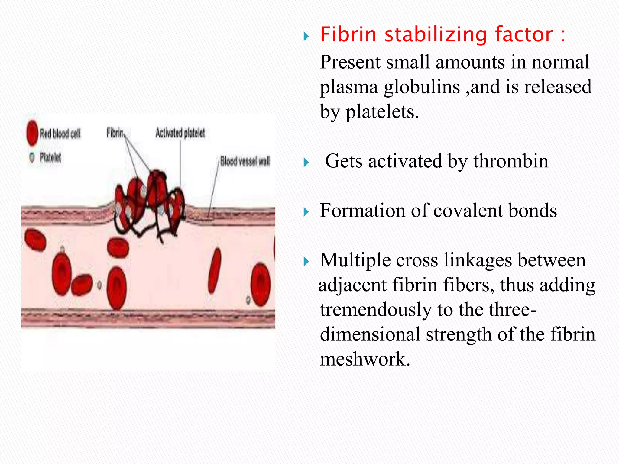 COAGULATION PROFILE.pptx