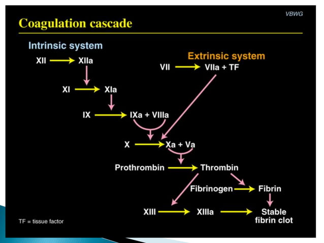 COAGULATION PROFILE.pptx