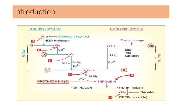 Coagulats and anticoagulants pharmacology | PDF | Blood Disorders ...