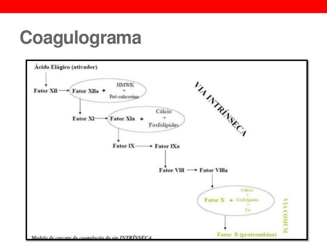 Que Es Un Coagulograma Normal _ Que Es Un Coagulograma – KKSURC