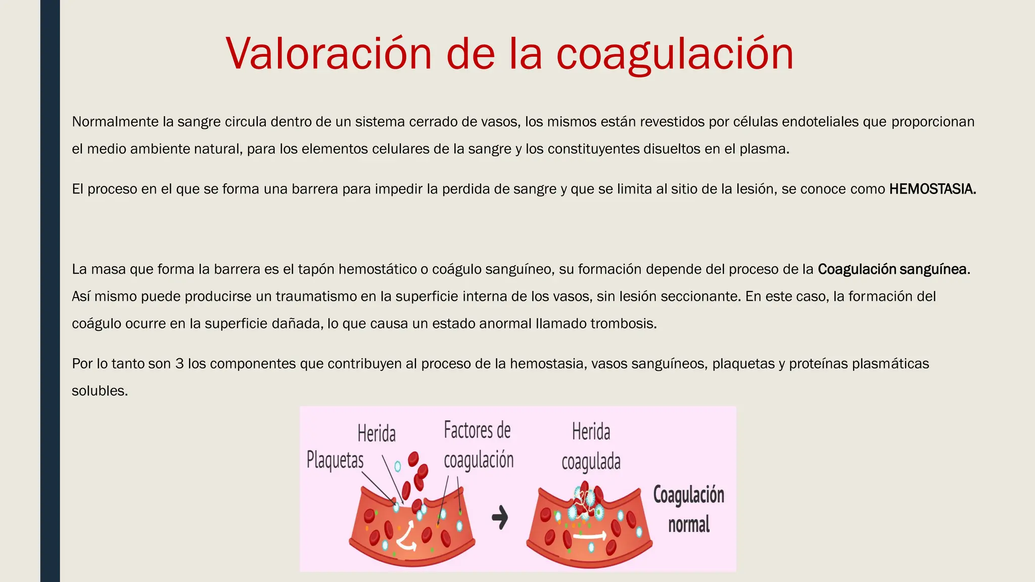 Hemograma Completo Pdf Hemostasia Coagulacin