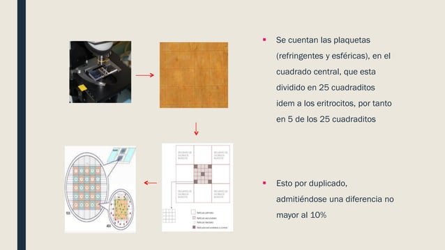 COAGULOGRAMA BASICO.pdf