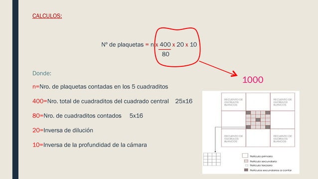 COAGULOGRAMA BASICO.pdf
