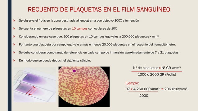 COAGULOGRAMA BASICO.pdf
