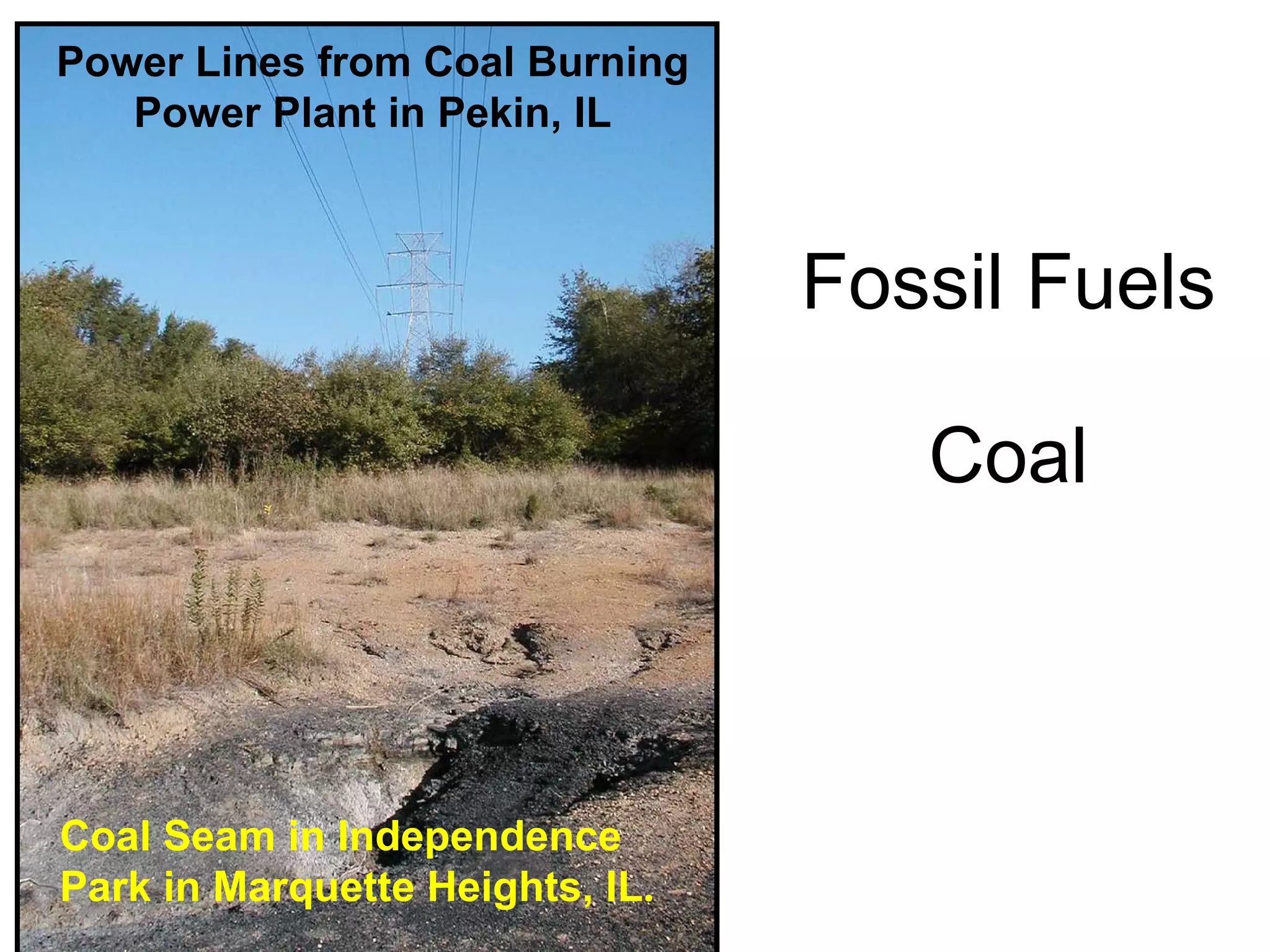 Coal | PPT