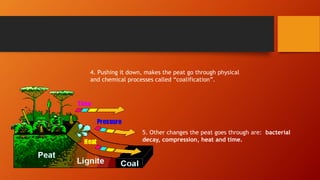 Coal | PPT