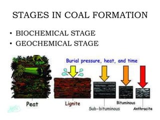 Coal Formation Stages