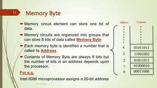 COAL-2Assembly language programming.pptx