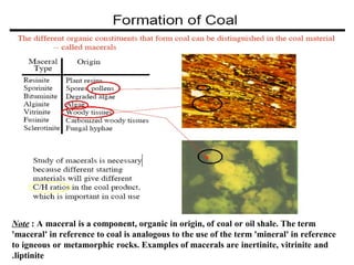Coal deposits | PPT