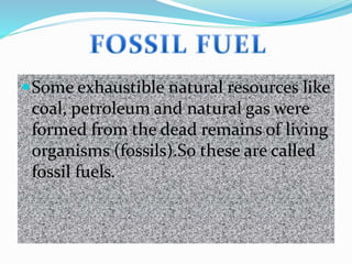 Coal and petroleum | PPTX | Chemistry | Science