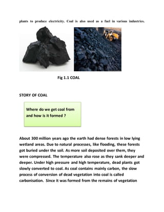 Coal and petroleum. | PDF