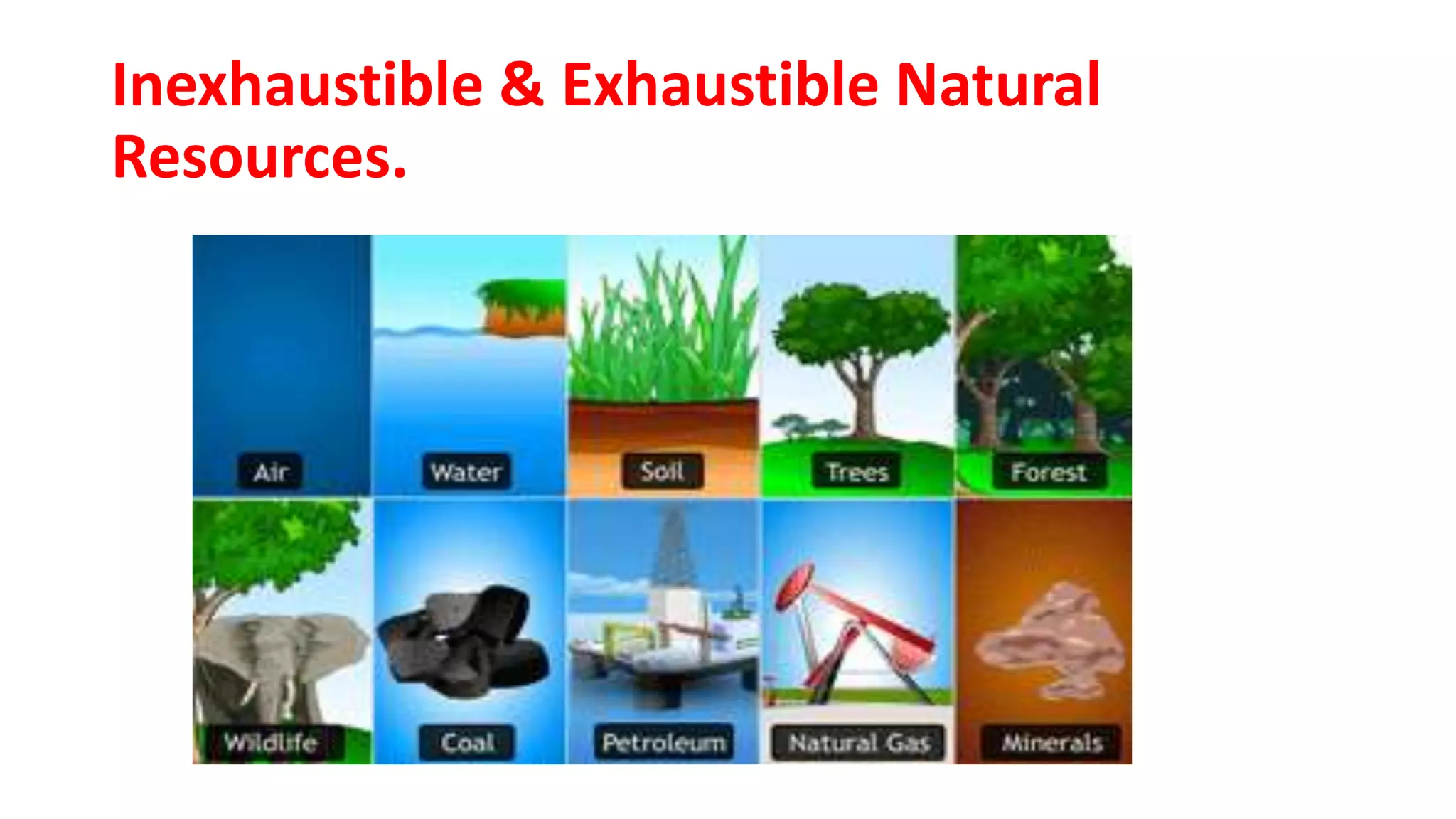 Coal and petroleum | PPTX