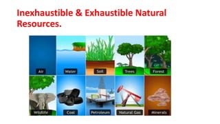 Coal and petroleum | PPTX