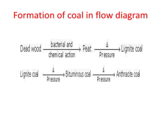 Coal and petroleum.ppt