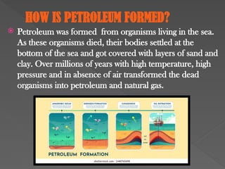 coal and petroleum by saranyu singh.pptx