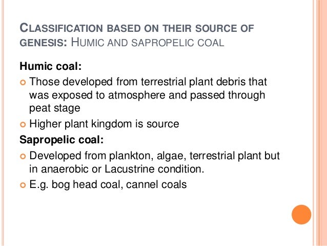 Coal classification