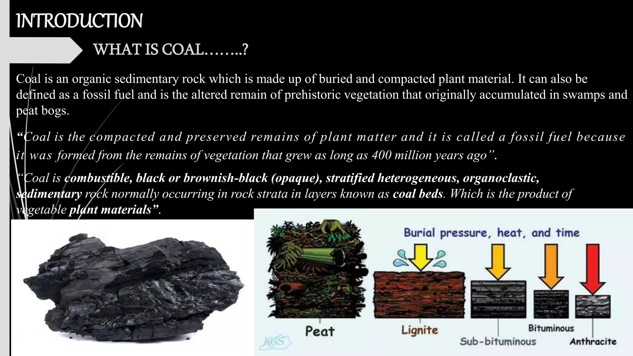 Coal Deposits their formations | PPTX