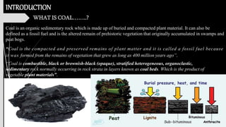 Coal Deposits their formations | PPTX