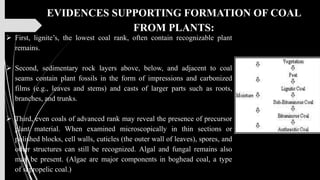 Coal Deposits their formations | PPTX