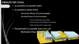 Coal Deposits their formations | PPTX