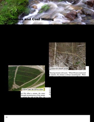Coal environment web | PDF