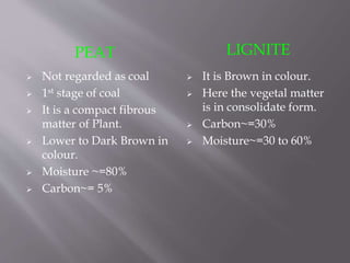 COAL Final.pptx