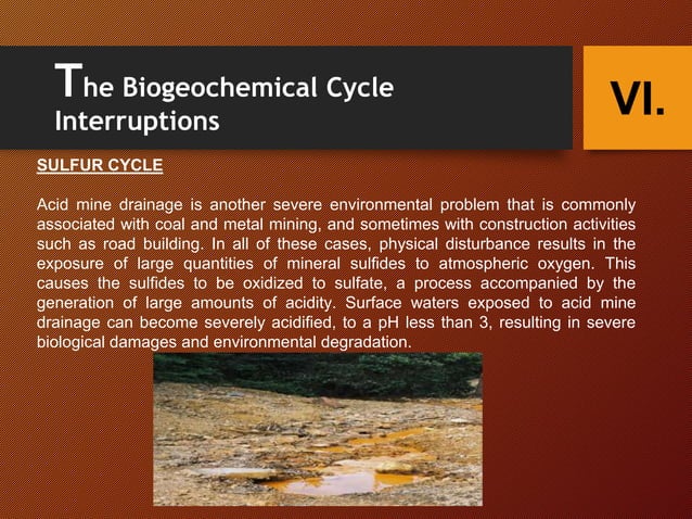 Coal Mining - Effects on BioGeoChemical Cycles - Semirara Mining | PPTX