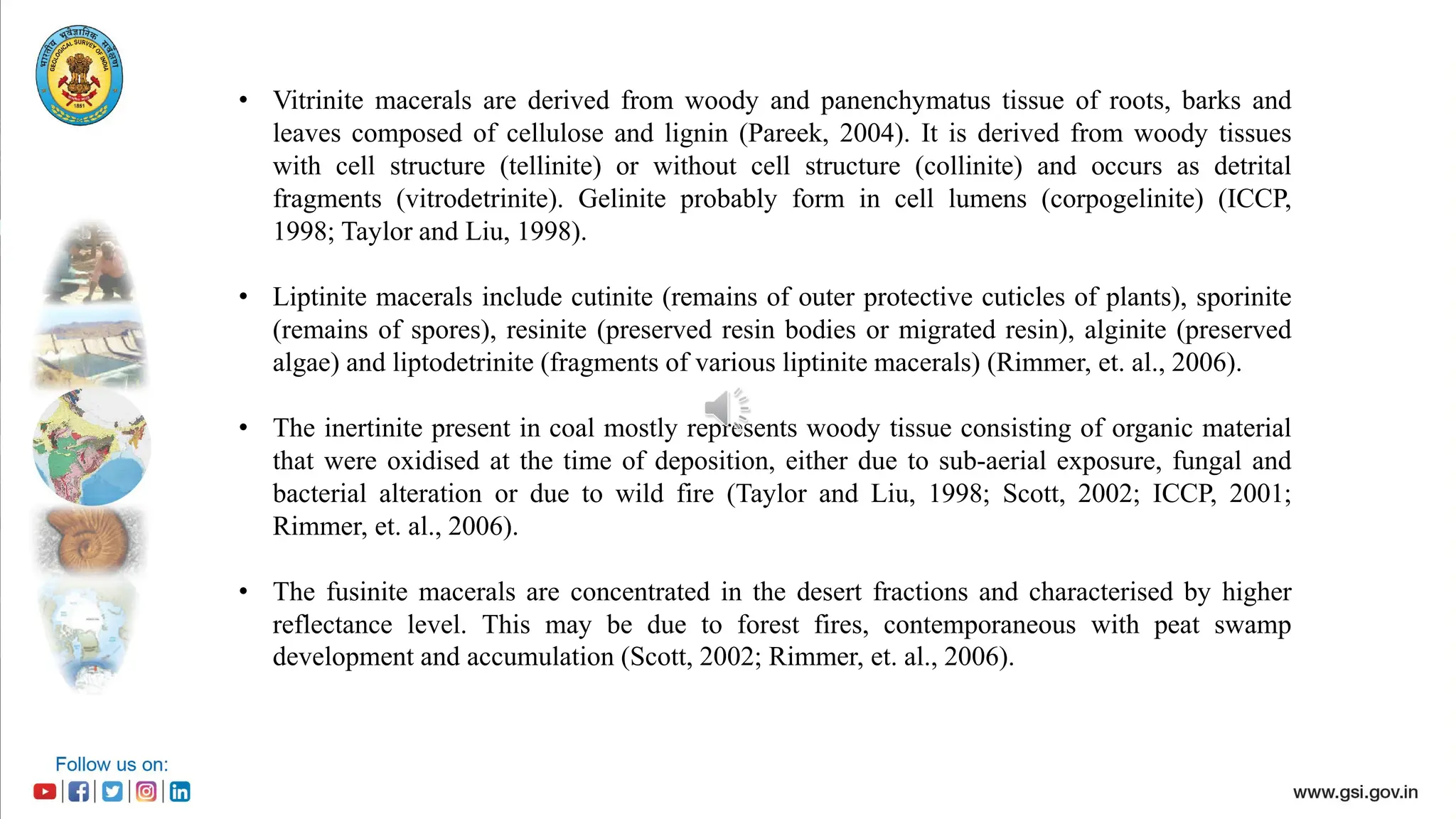 Coal petrology ppt prepared co petrology | PDF