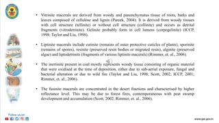 Coal petrology ppt prepared co petrology | PDF
