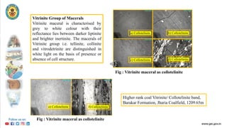 Coal petrology ppt prepared co petrology | PDF