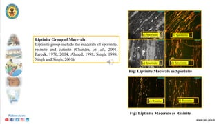 Coal petrology ppt prepared co petrology | PDF