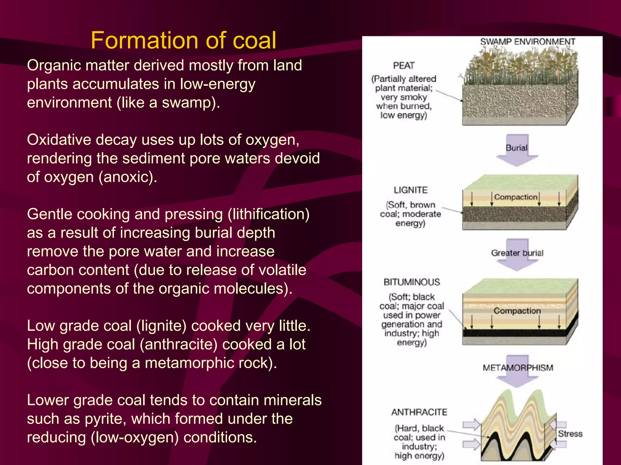 Coal and petroleum | PPT