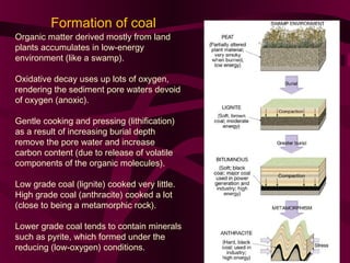 Coal and petroleum | PPT