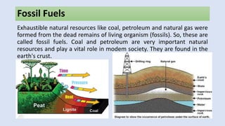 Coal & petroleum | PPT