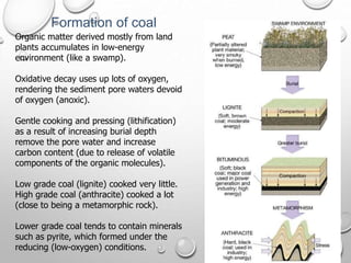 coalpetroleum[1].ppt