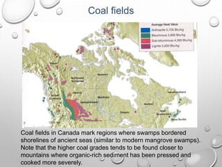 coalpetroleum[1].ppt